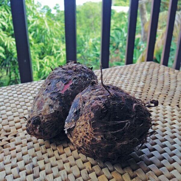 Top Ten Caribbean Roots and Vegetables you can find in the Islands