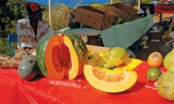 Top Ten Caribbean Roots and Vegetables you can find in the Islands