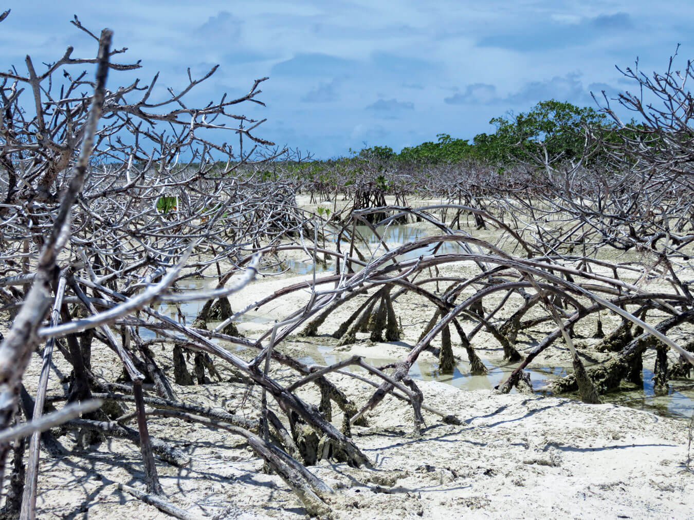 Beautiful Warderick Wells - ALL AT SEA