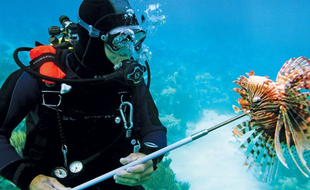 Robot Killer May Solve South Florida’s Lionfish Problem - ALL AT SEA
