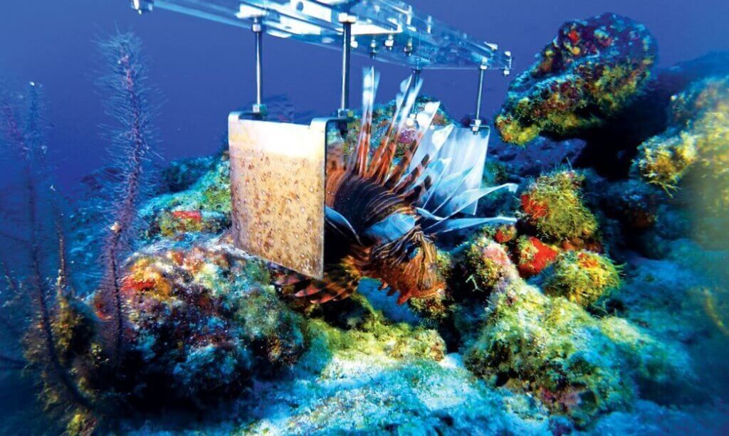 Robot Killer May Solve South Florida’s Lionfish Problem - ALL AT SEA