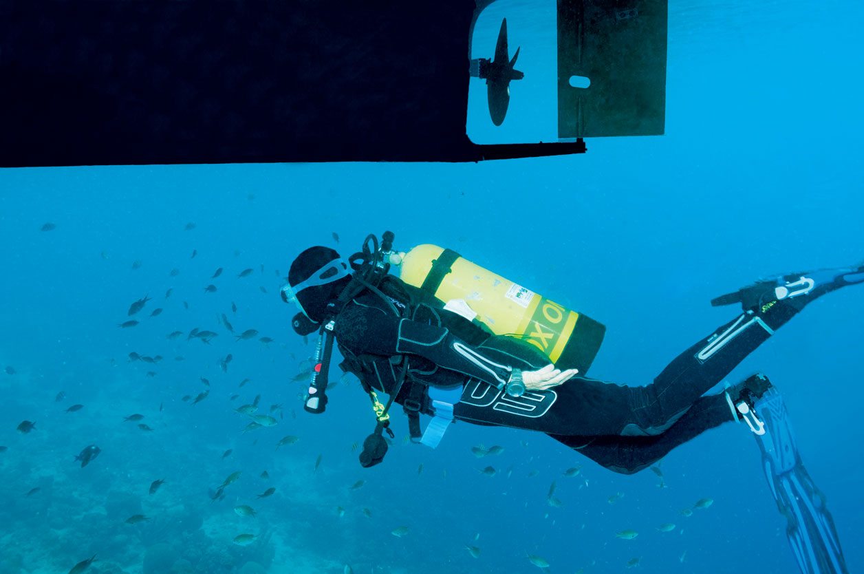 Why Diving on Scuba is Better Than Snorkeling - ALL AT SEA