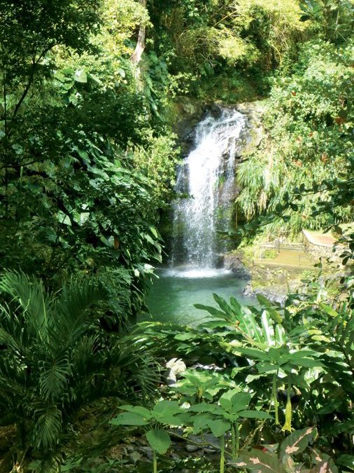 Exploring Caribbean Waterfalls: Hidden Gems in Grenada - ALL AT SEA