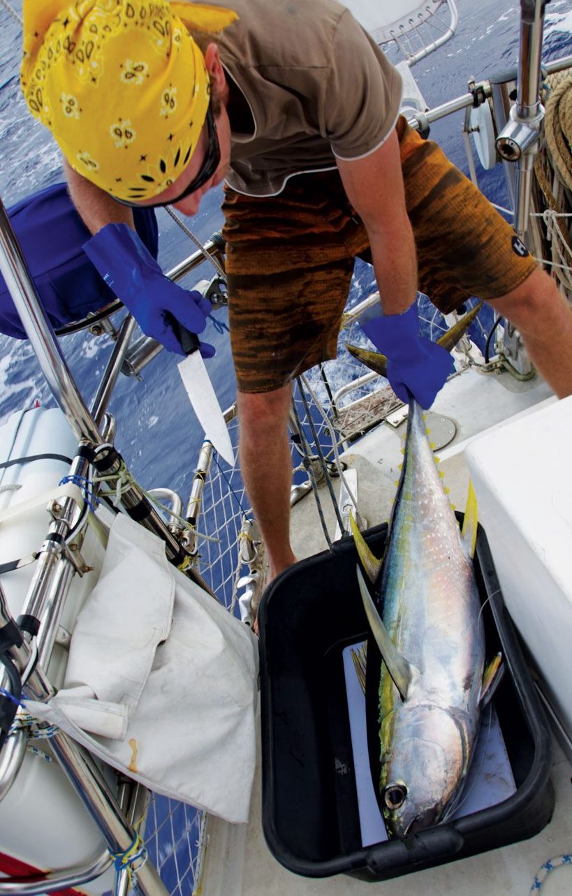 How to Can Fish (and some helpful “Catching” Tips!) - ALL AT SEA