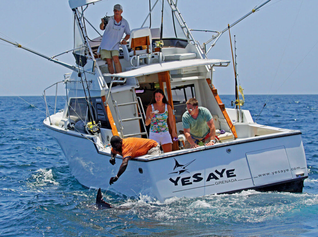 Captivating Boat Names: Unveiling the Fascinating Stories Behind ...