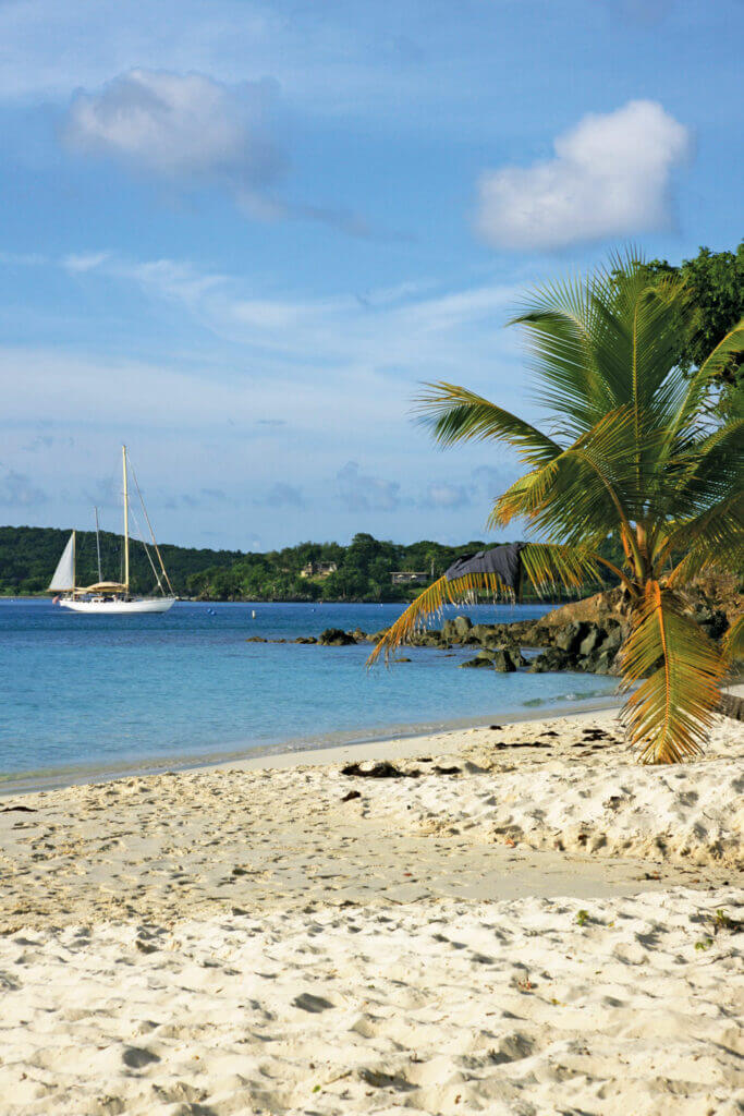 Top 5 Caribbean Picnic Beaches for the Perfect Alfresco Meal - ALL AT SEA