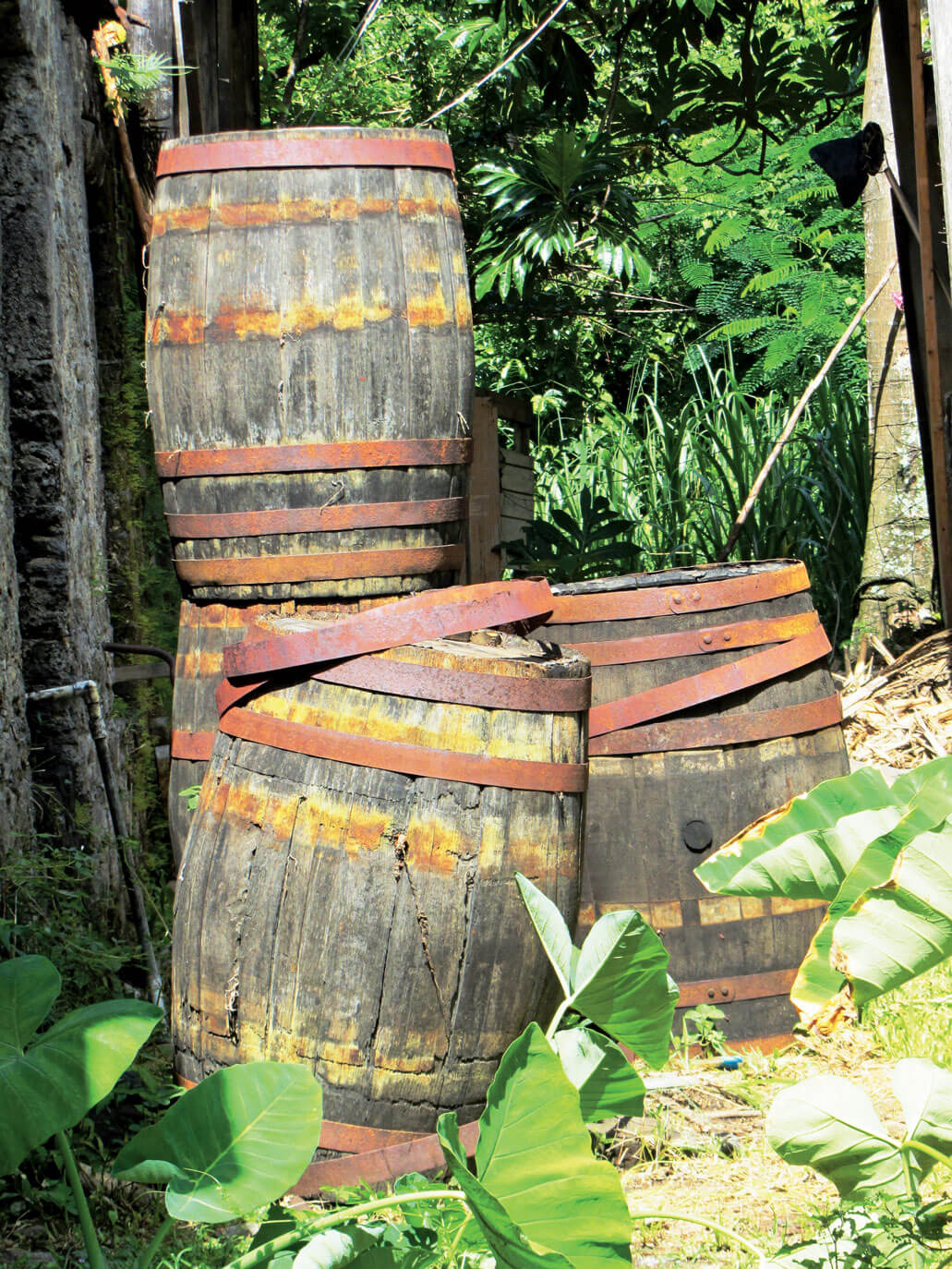 Top 10 Must-Visit Destinations in the British Virgin Islands - ALL AT SEA