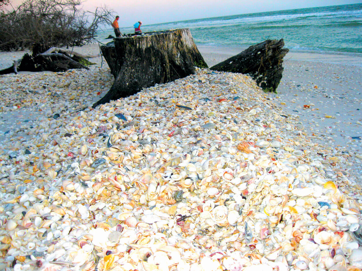 Top 10 Stops: Sailing Florida’s West Coast - ALL AT SEA