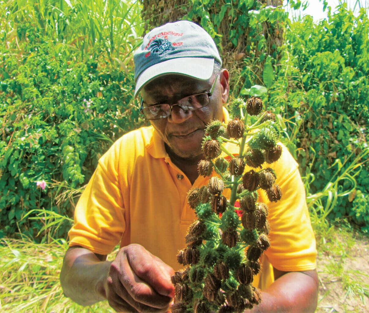 Grenada’s Hidden Gems: My Top Ten Unforgettable Experiences - ALL AT SEA
