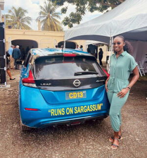 Turning Sargassum into Sustainable Energy: A Caribbean Innovation - ALL AT SEA