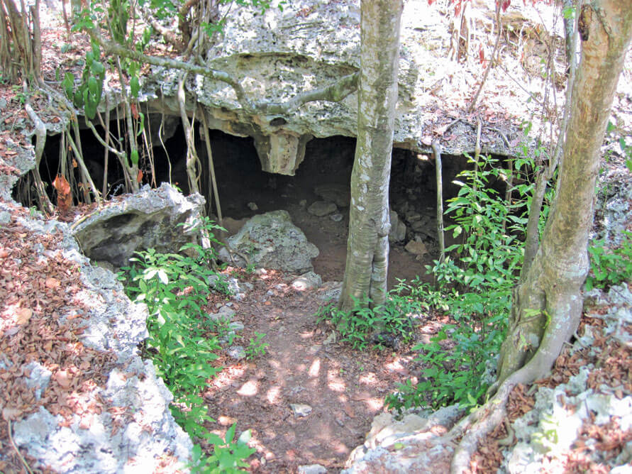 Exploring The Bahamas: Hidden Gems of Andros, Berry, and Bimini Islands ...