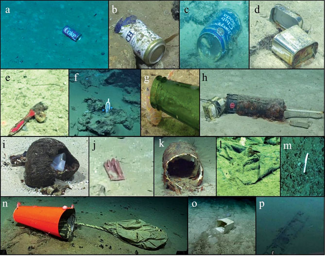 Caribbean Sea Floor Found Littered with Human Trash, New Study Reveals ...