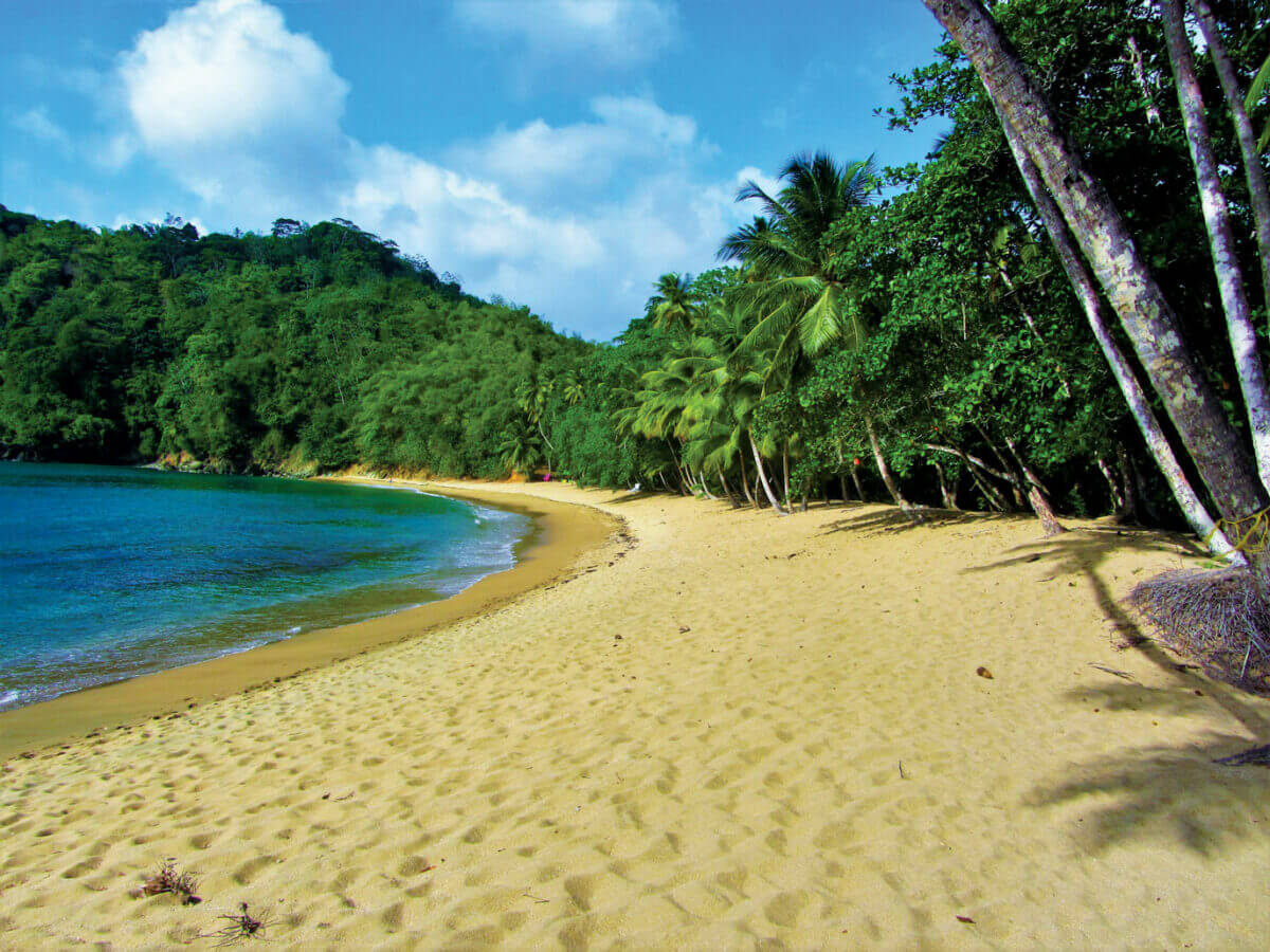 Tobago Uncovered: 10 Must-Visit Spots on This Hidden Caribbean Gem ...