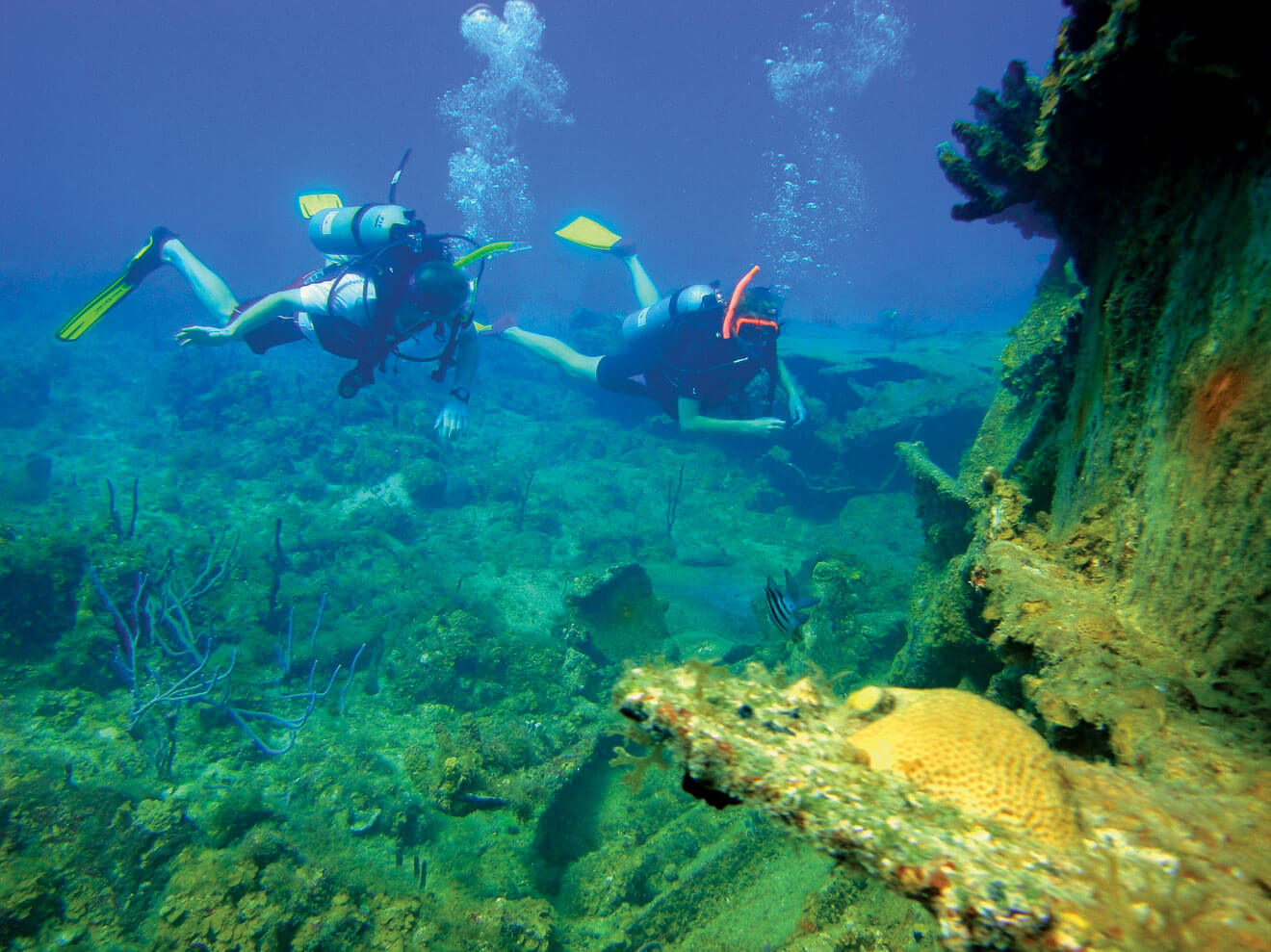 Coral Reefs and Climate Change: Why Protecting Coral is Vital to Planet ...