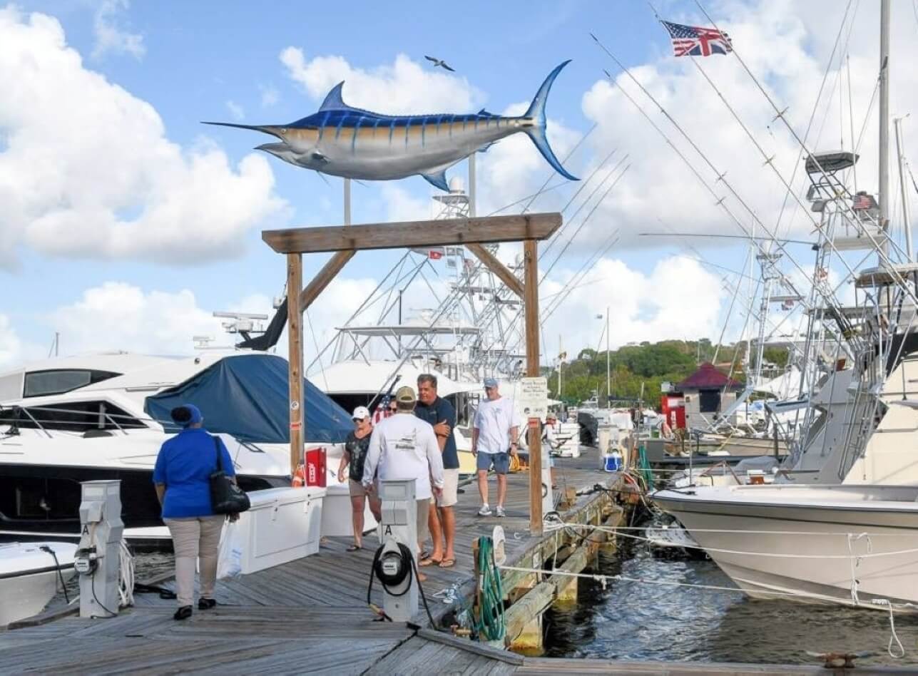 Virgin Islands Game Fishing Club’s USVI Billfish Shootout Set for ...